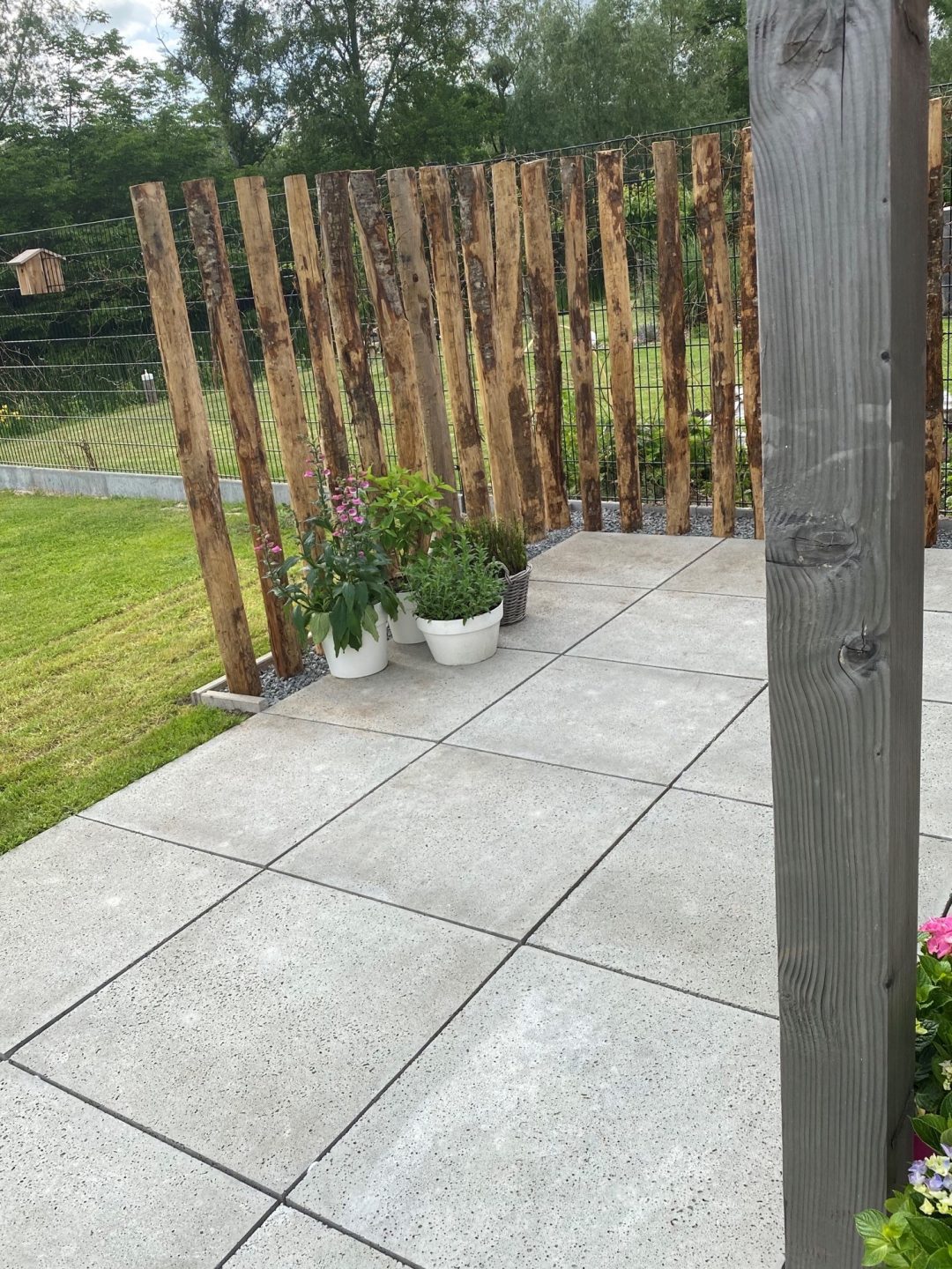 Schellevis 80x80x5 cm grijs - Boonstra Steenhandel